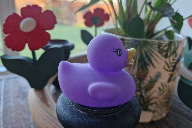 Duck Passport