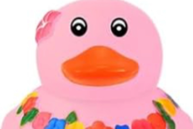 Duck Passport | Register, Hide, Seek