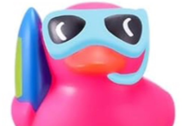 Duck Passport | Register, Hide, Seek